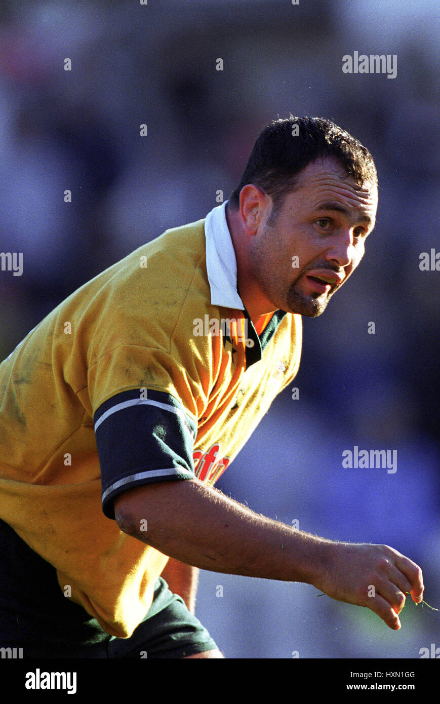 MICHAEL FOLEY AUSTRALIA RU WELFORD ROAD LEICESTER 28 October 2001 Stock ...