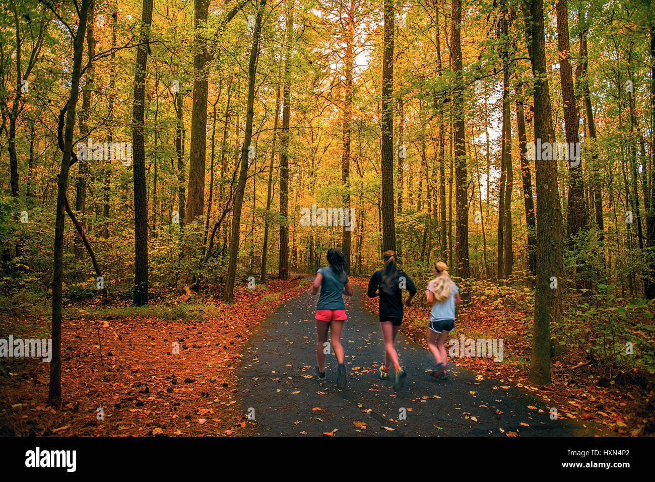 Autom hi-res stock photography and images - Alamy