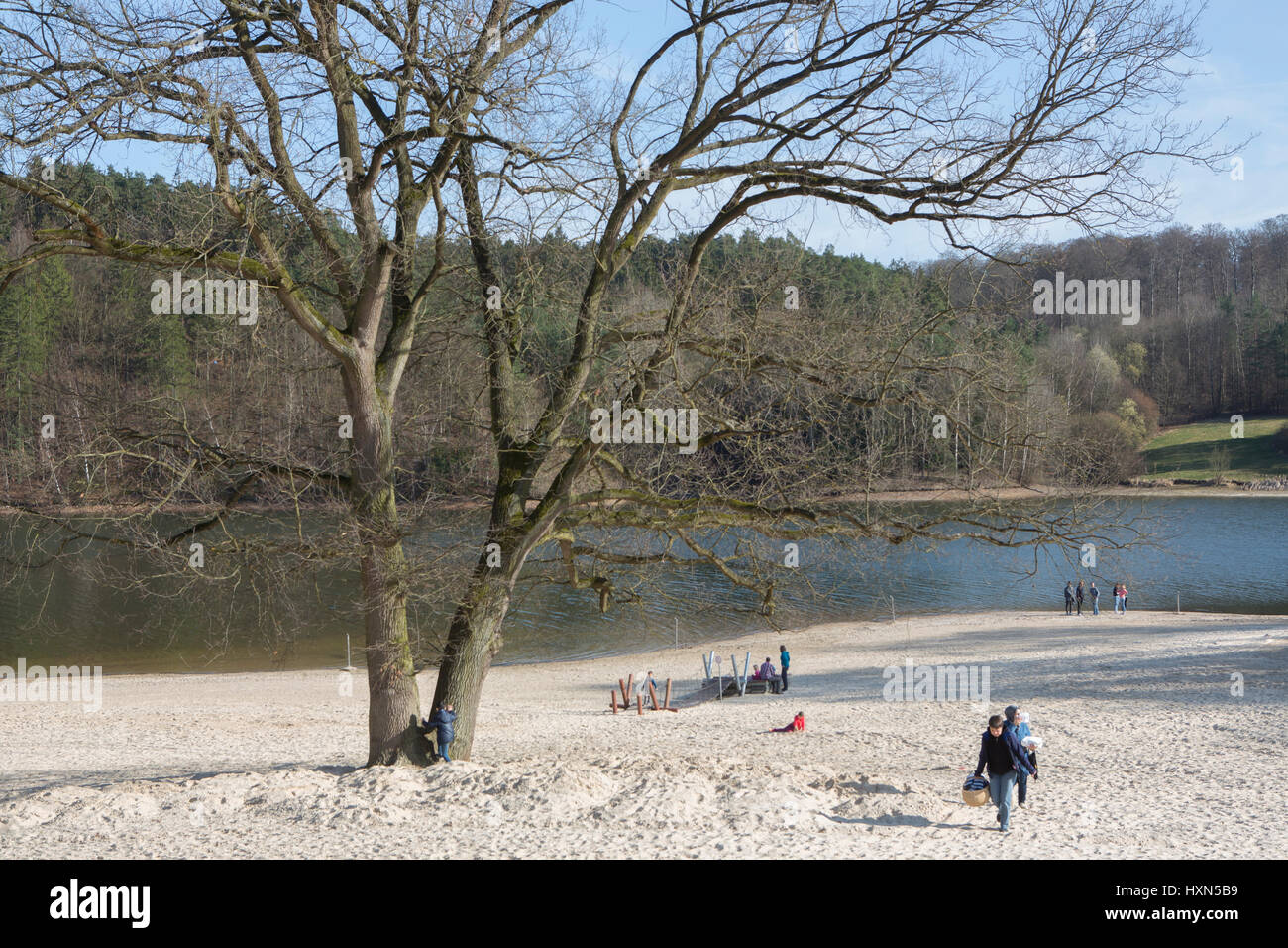 Baum am Twistesee in Bad Arolsen | Tree at Twistesee in Bad Arolsen ...