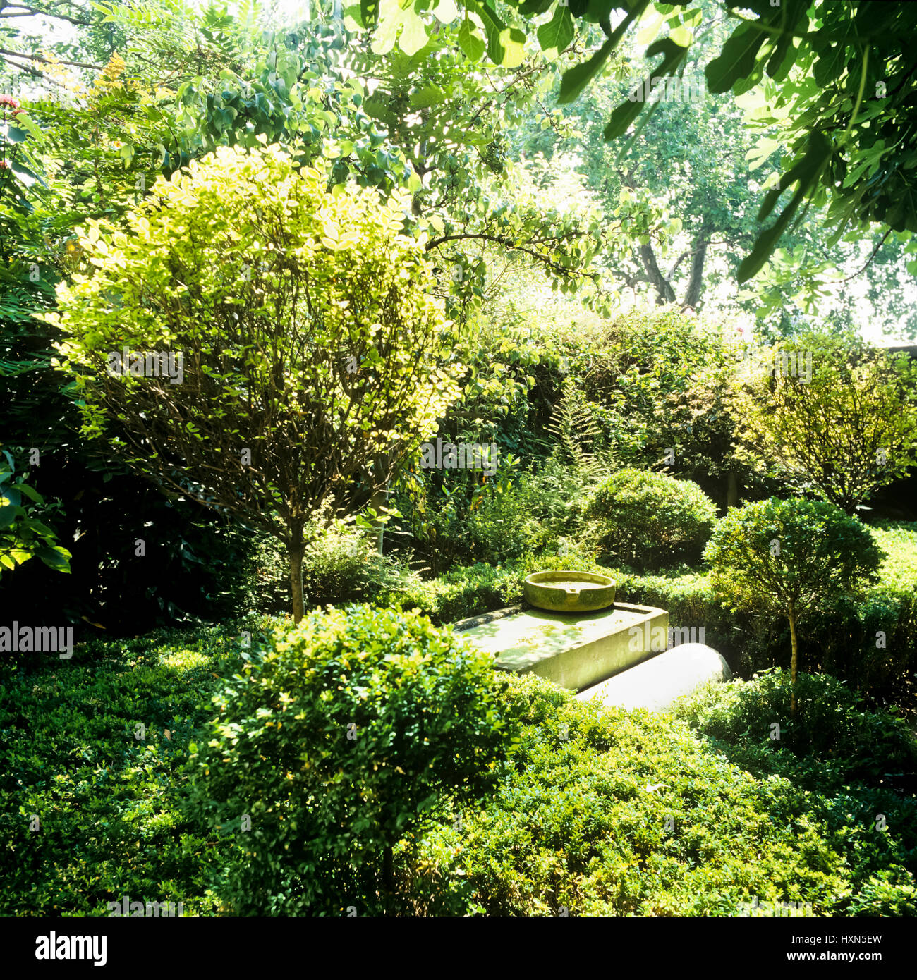 Garden with trees Stock Photo - Alamy