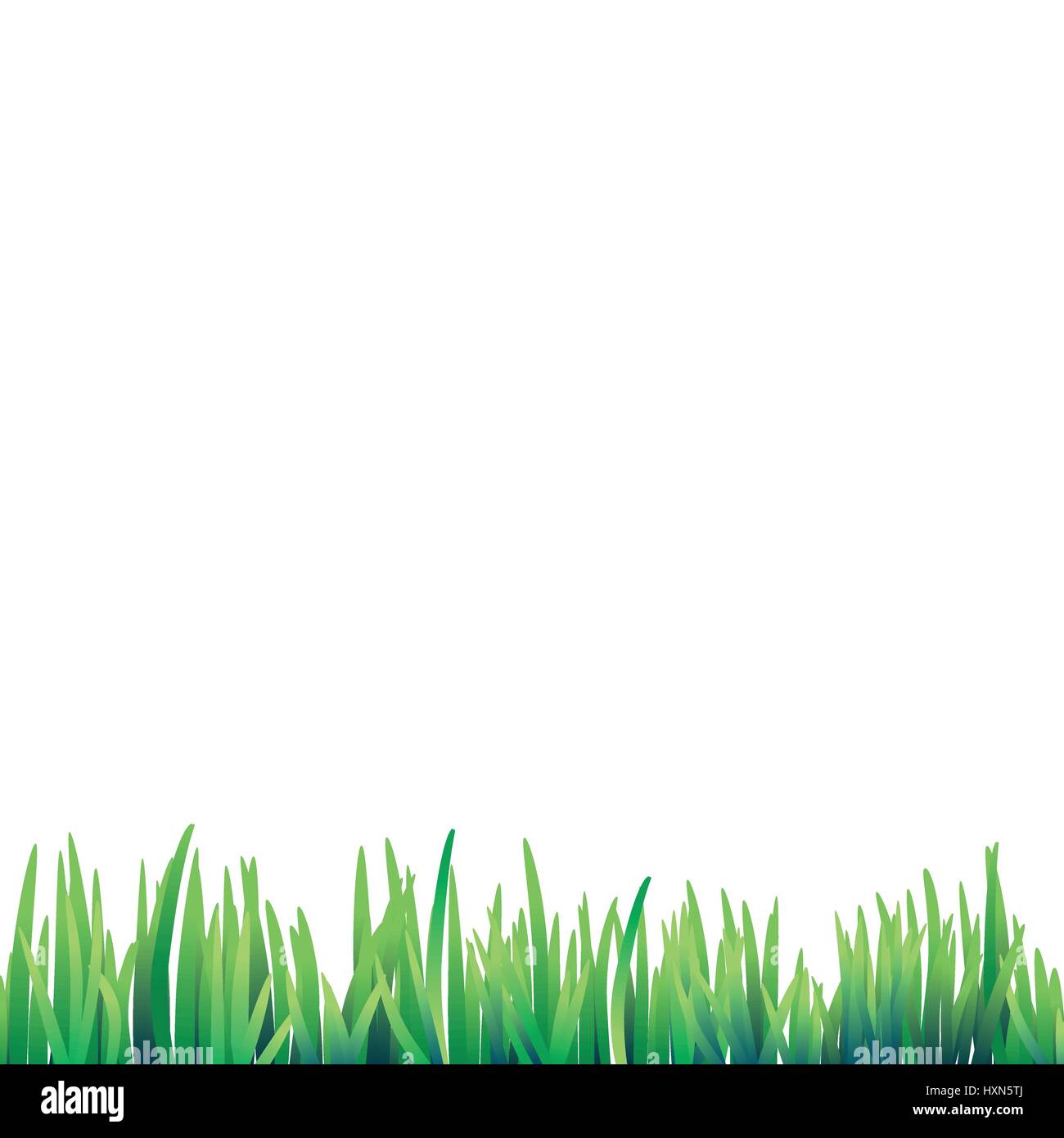 Place for text grass on white background for your design Stock Vector ...