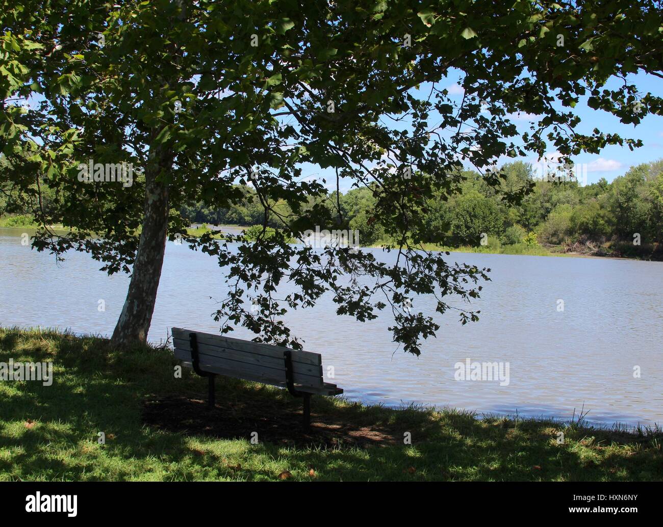 The park bench by the river under the shade tree Stock Photo - Alamy