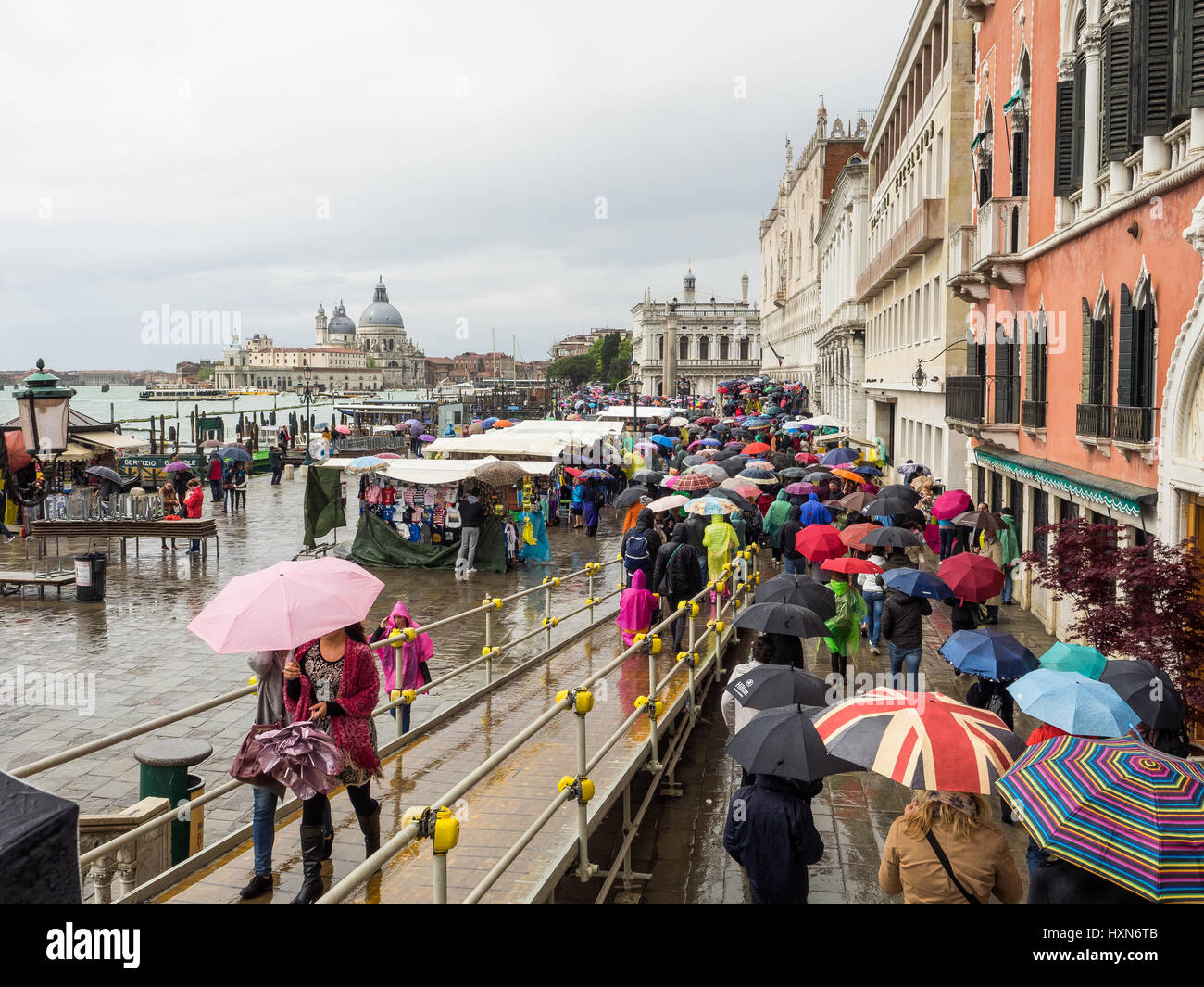 Venice in the rain with tourists carrying umbrellas Stock Photo - Alamy