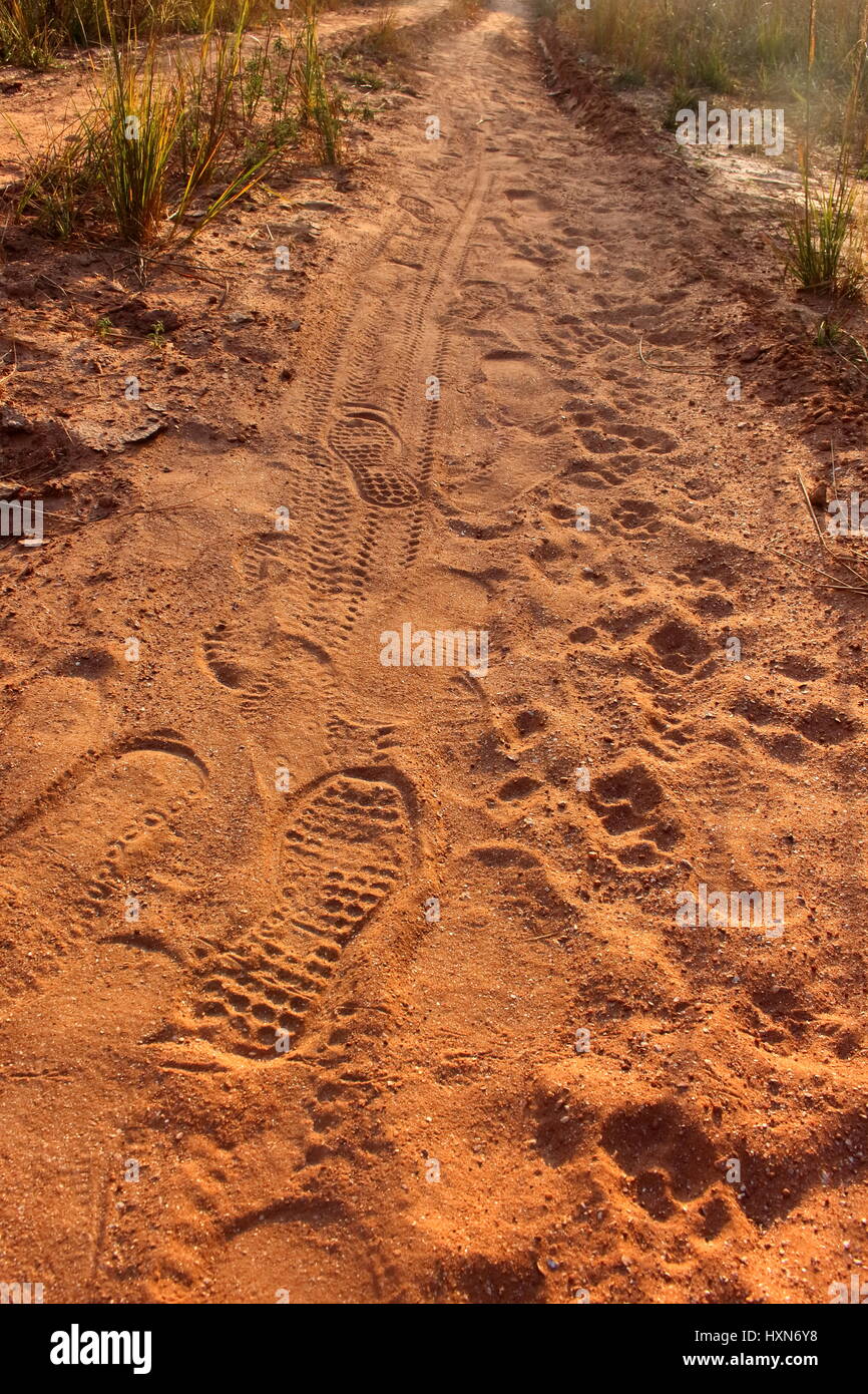 Sand Story: the dirt tracks of Africa keep an enchanting record of ...