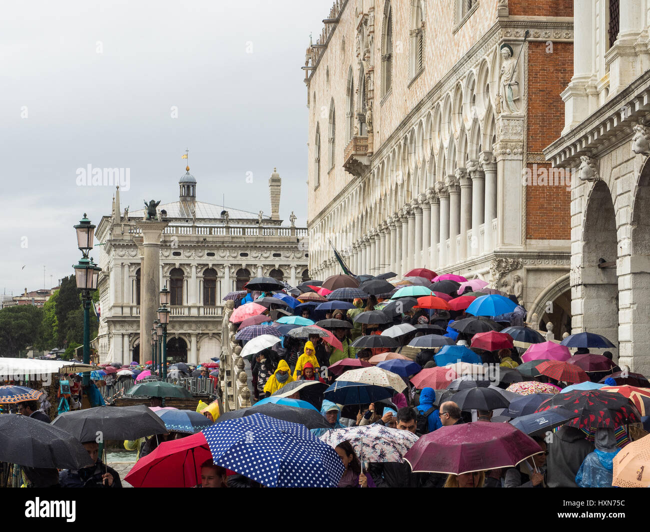 Umbrellas in rain venice italy hi-res stock photography and images - Alamy
