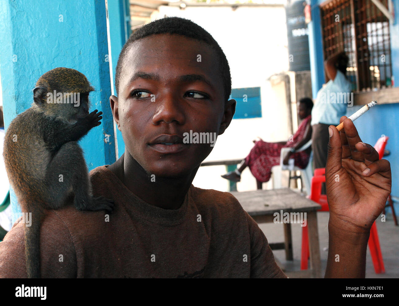 Hand reared ape hi-res stock photography and images - Alamy