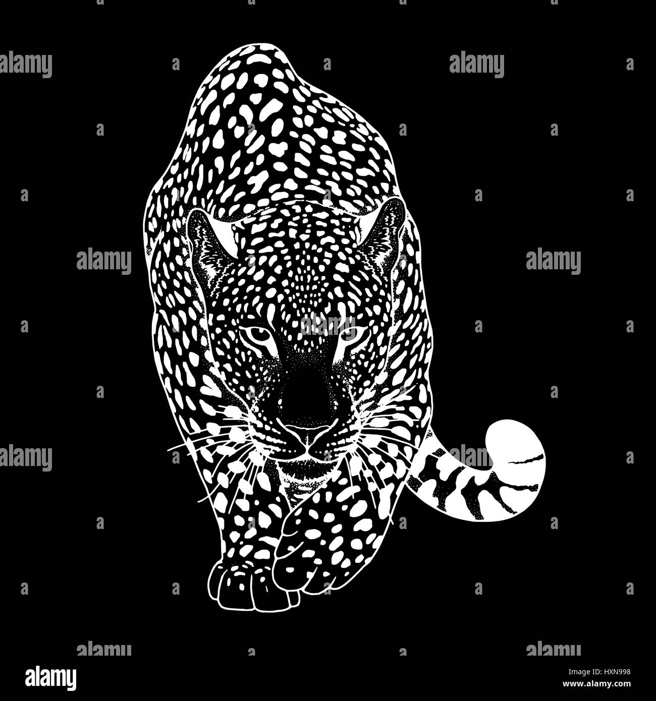 Cheetah india Stock Vector Images - Alamy