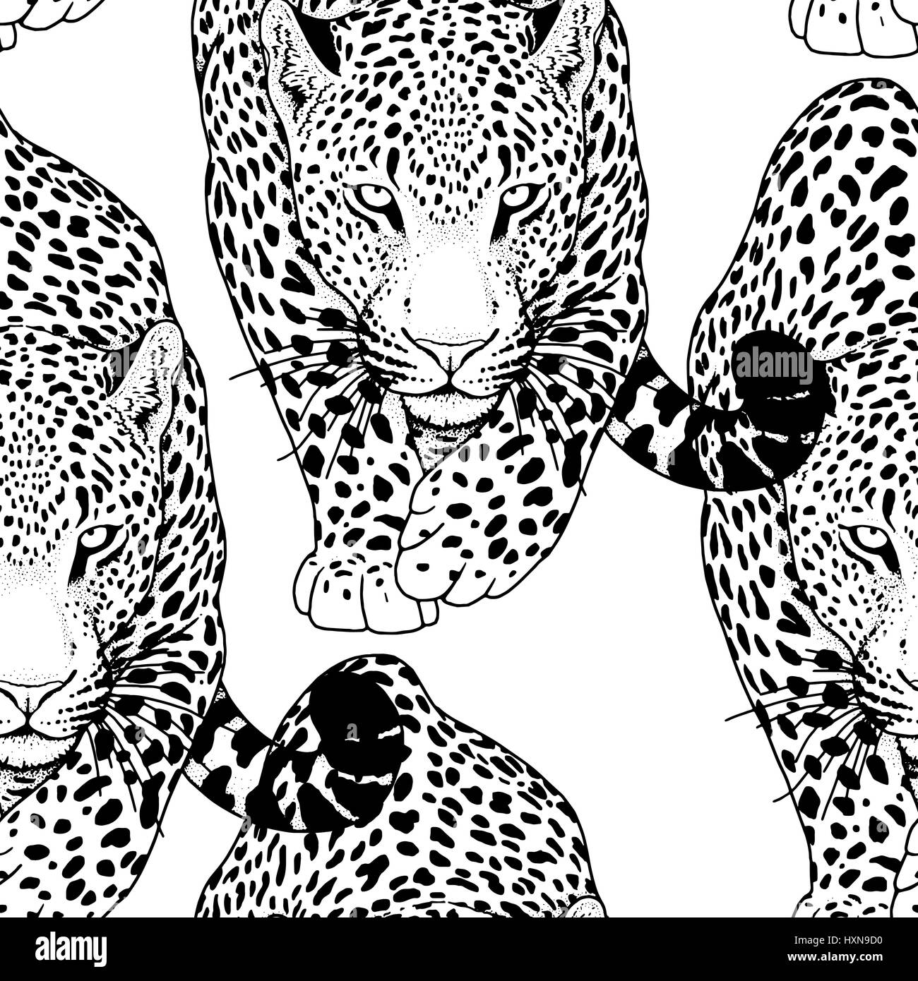 illustration of leopard, graphic vector animal Stock Vector Image & Art ...