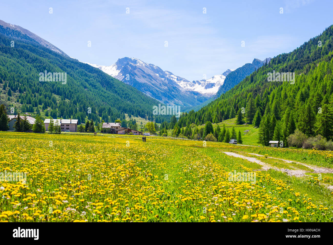 Flowery meadows hi-res stock photography and images - Alamy