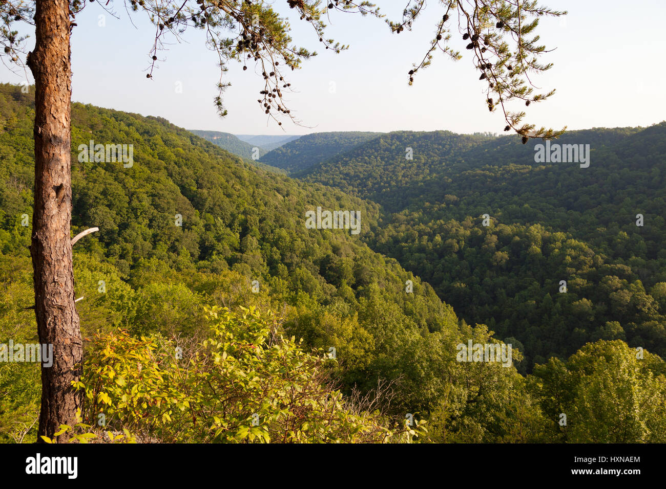 Cumberland plateau tennessee hi-res stock photography and images - Alamy