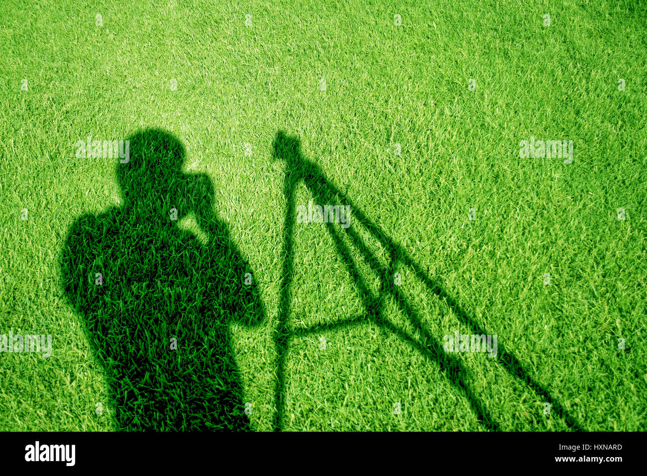 Field shadow floor hi-res stock photography and images - Alamy
