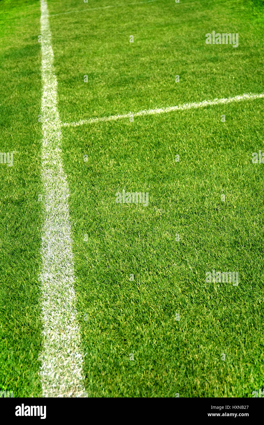 white straight line separate on beautiful green Football field Stock ...