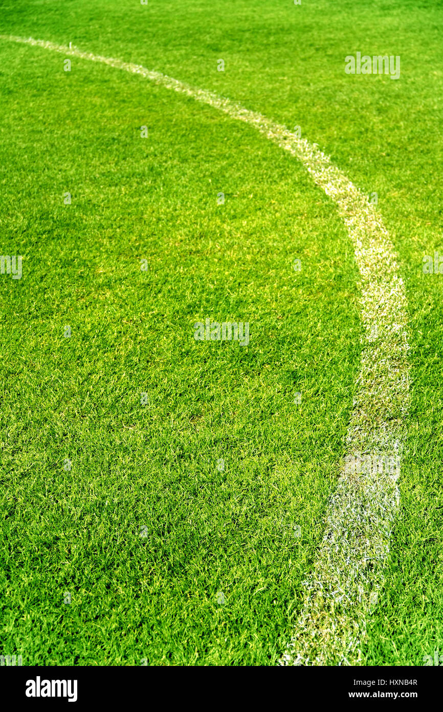 white curve line on beautiful green Football field Stock Photo - Alamy
