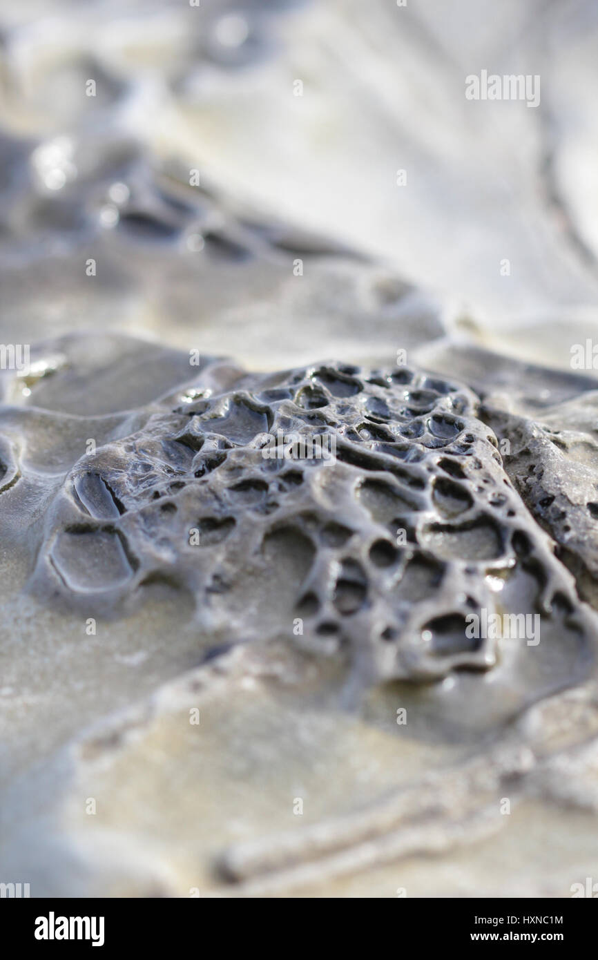 Slippy and wet rock surface next to ocean Stock Photo - Alamy