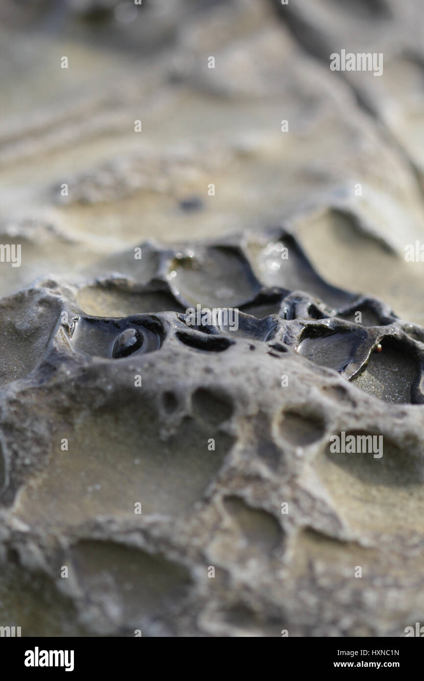 Slippy and wet rock surface next to ocean Stock Photo - Alamy