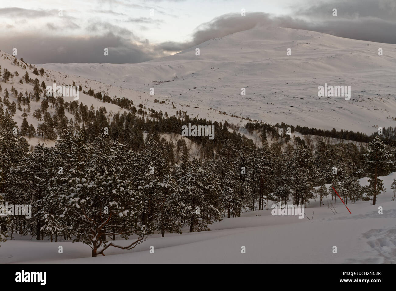 Bodo norway winter hi-res stock photography and images - Alamy