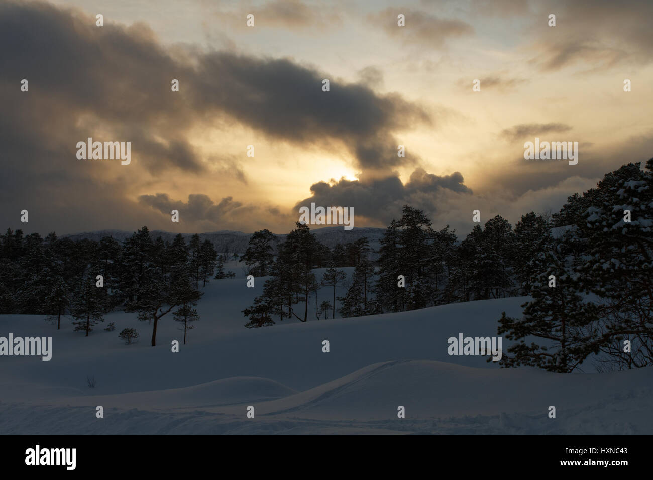 Bodo norway winter hi-res stock photography and images - Alamy