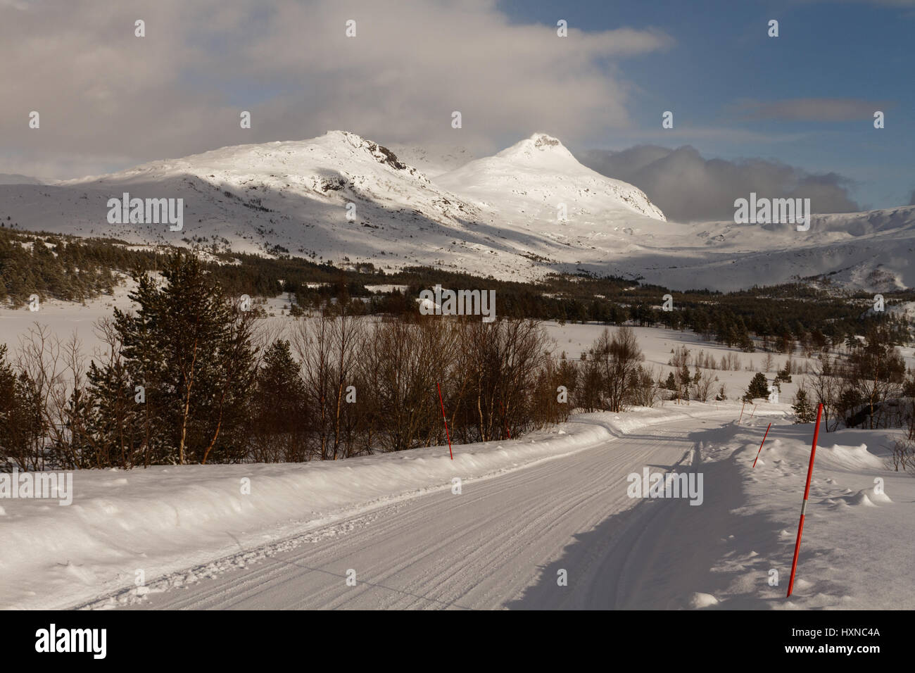 Bodo norway winter hi-res stock photography and images - Alamy