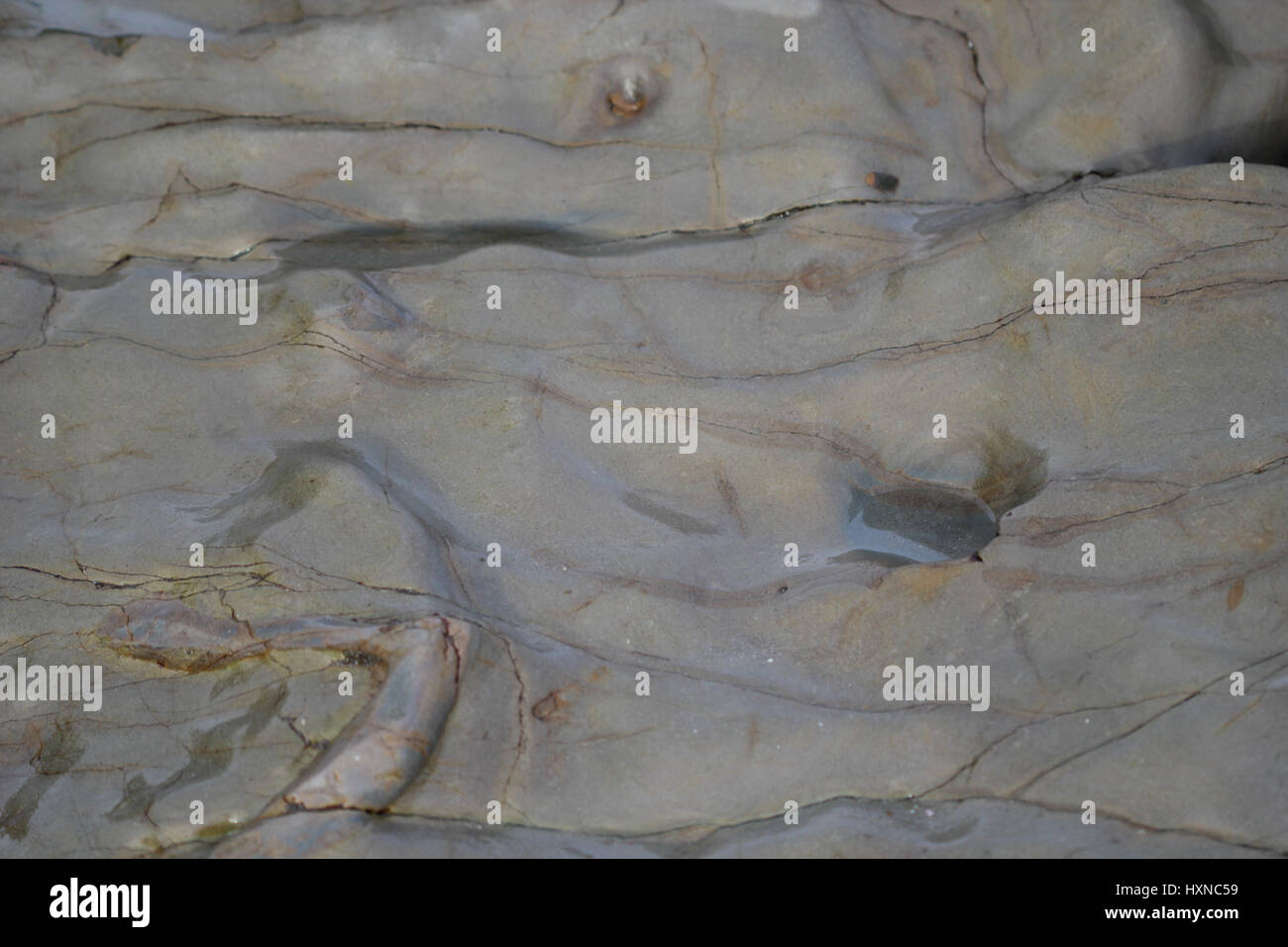 Rock with natural pattern at the beach Stock Photo - Alamy