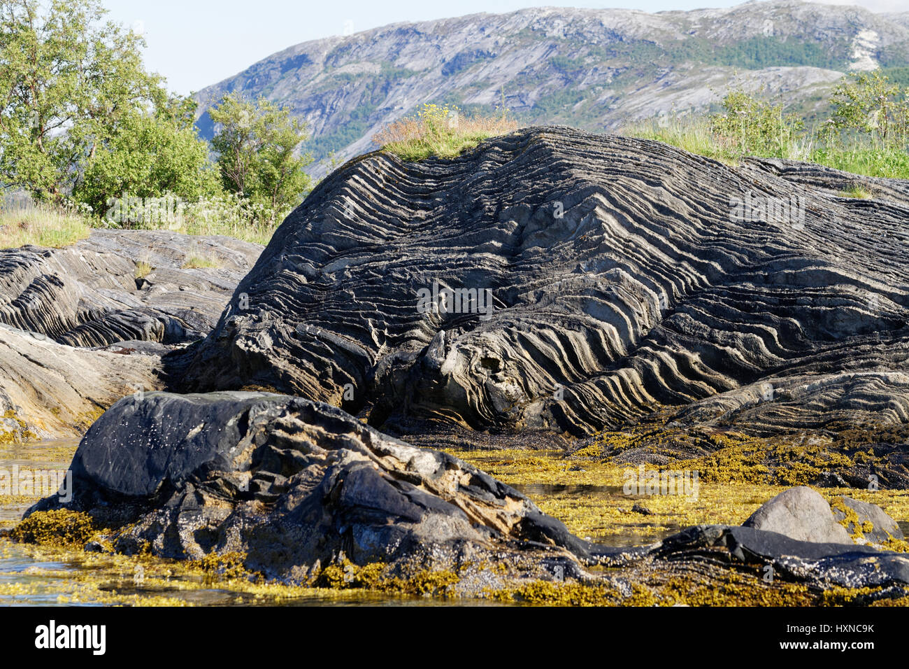 Sones hi-res stock photography and images - Alamy