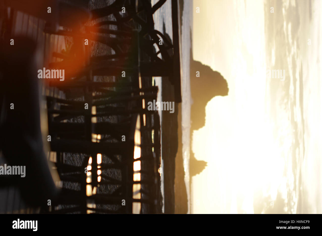 Glare effect of photographing the sun getting down Stock Photo - Alamy