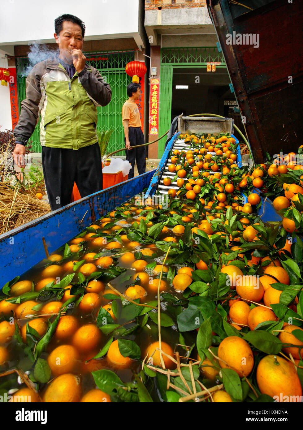 Process of washing fruit hi-res stock photography and images - Alamy
