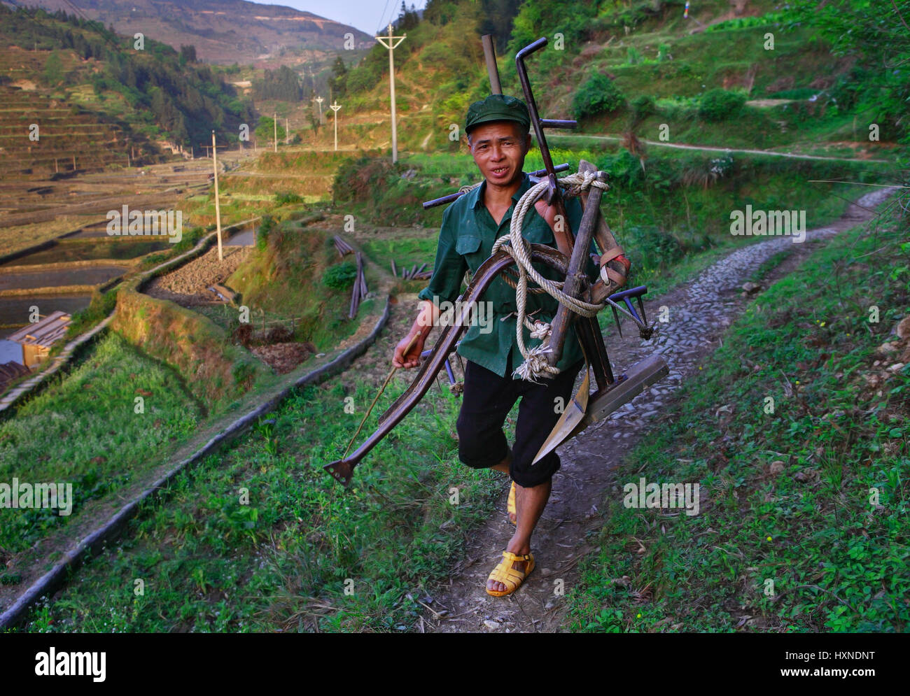 Man bears plow the rice field hi-res stock photography and images - Alamy