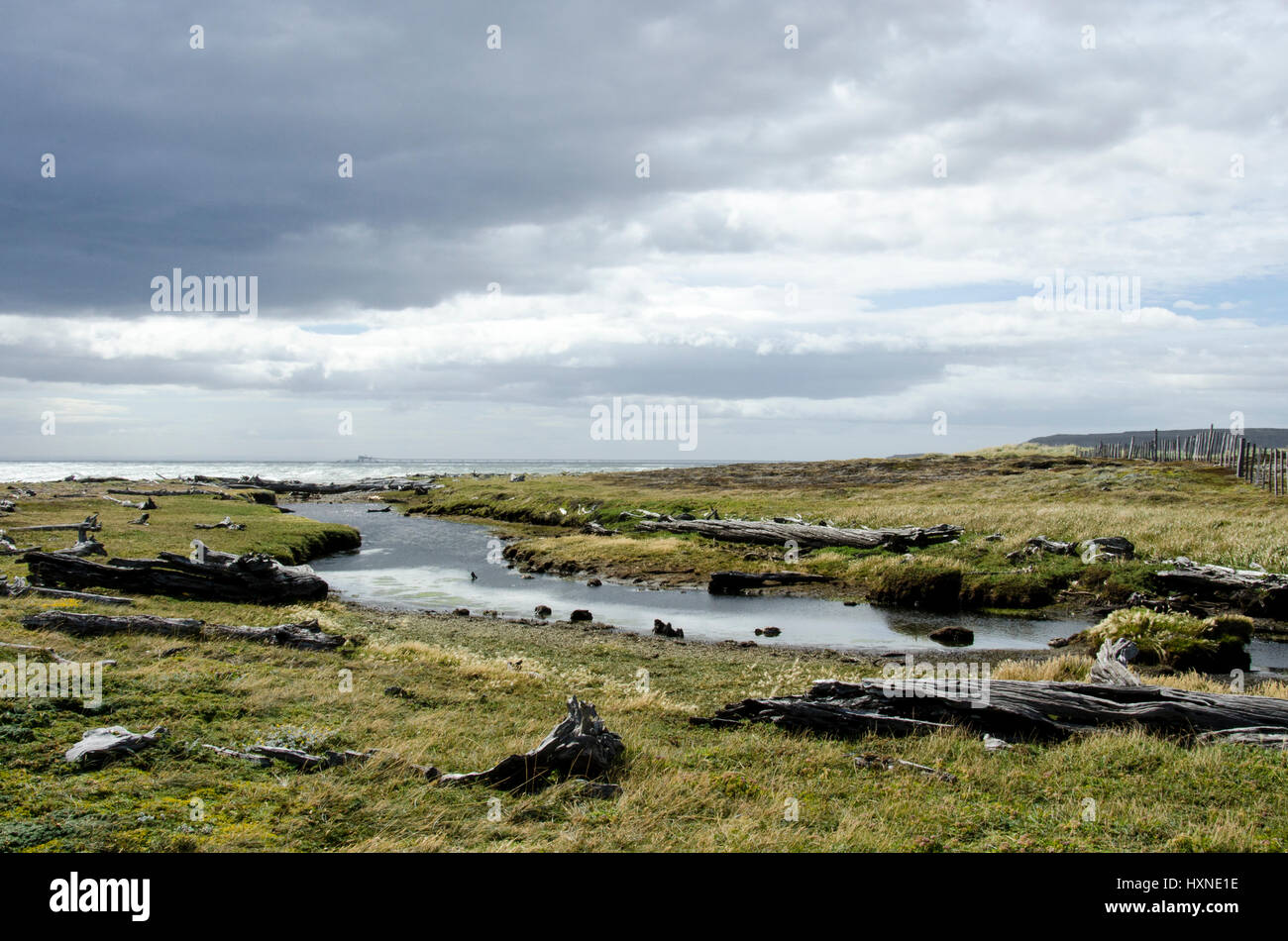 Seno Otway is a large inland sound lying between Brunswick Peninsula ...