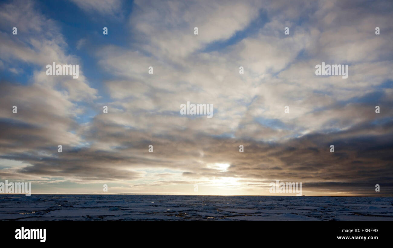 Packeis hi-res stock photography and images - Alamy