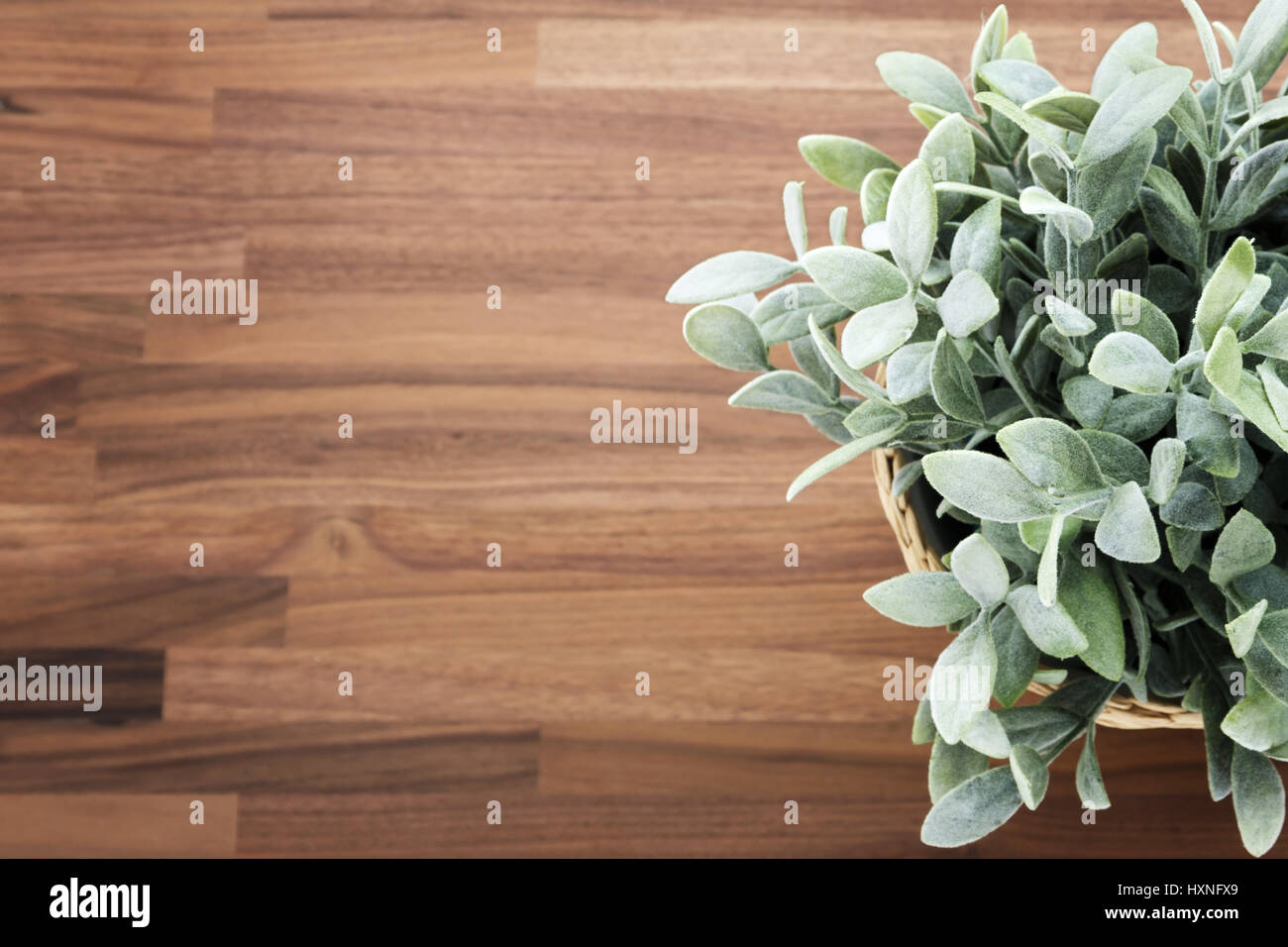 Artificial green plant on wooden office desk background Stock Photo - Alamy