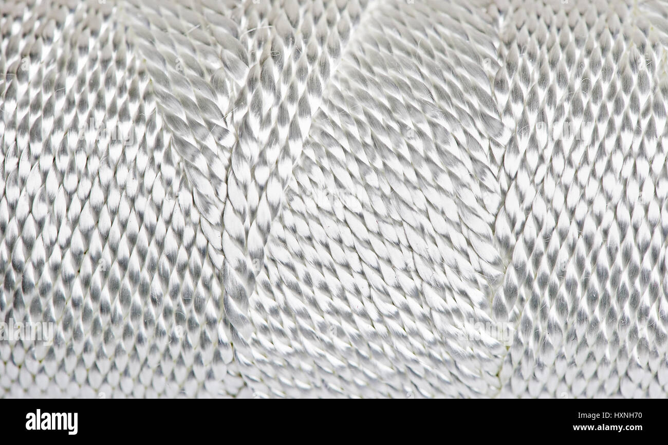 Thread texture hi-res stock photography and images - Alamy