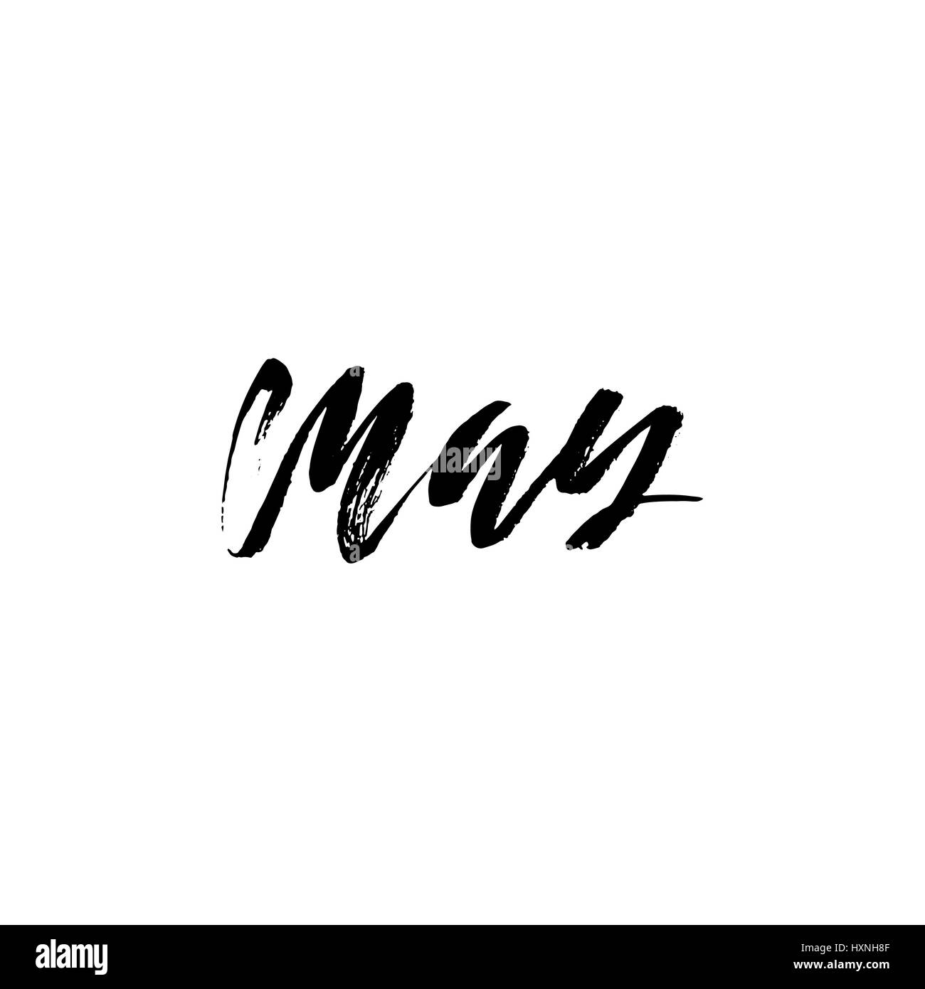 May month. Ink hand drawn lettering. Modern dry brush typography ...