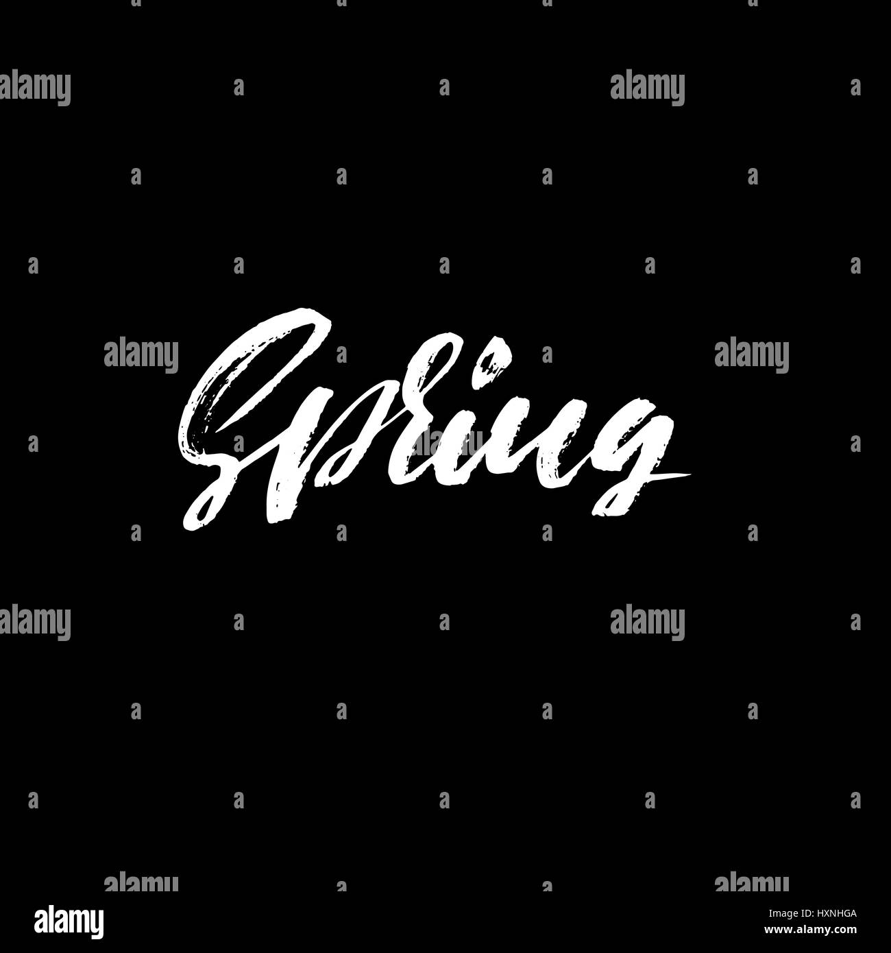 Handwritten lettering. Spring. Hand drawn calligraphy letters. Vector ...