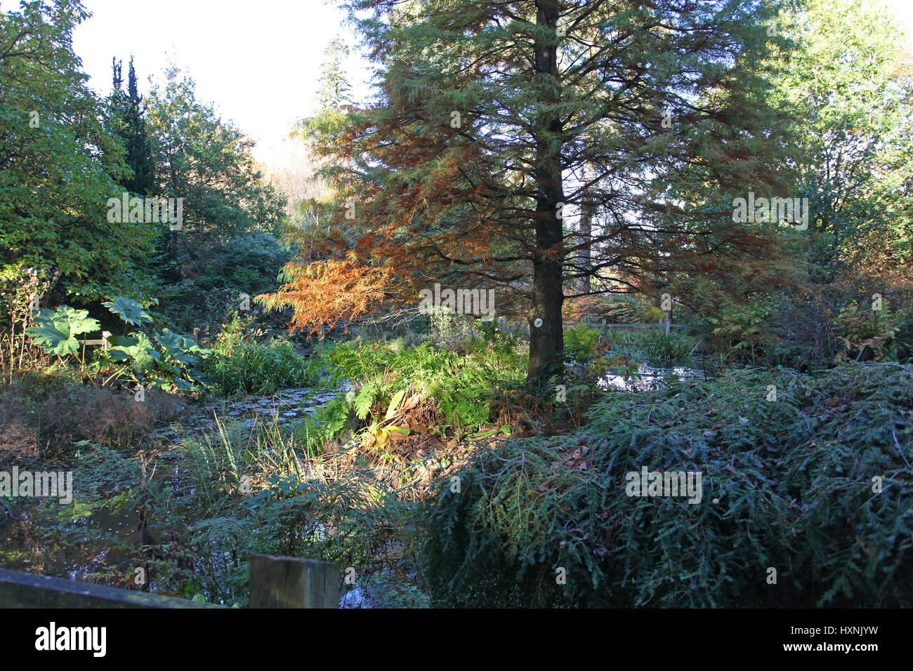 Crawley tilgate park hi-res stock photography and images - Alamy