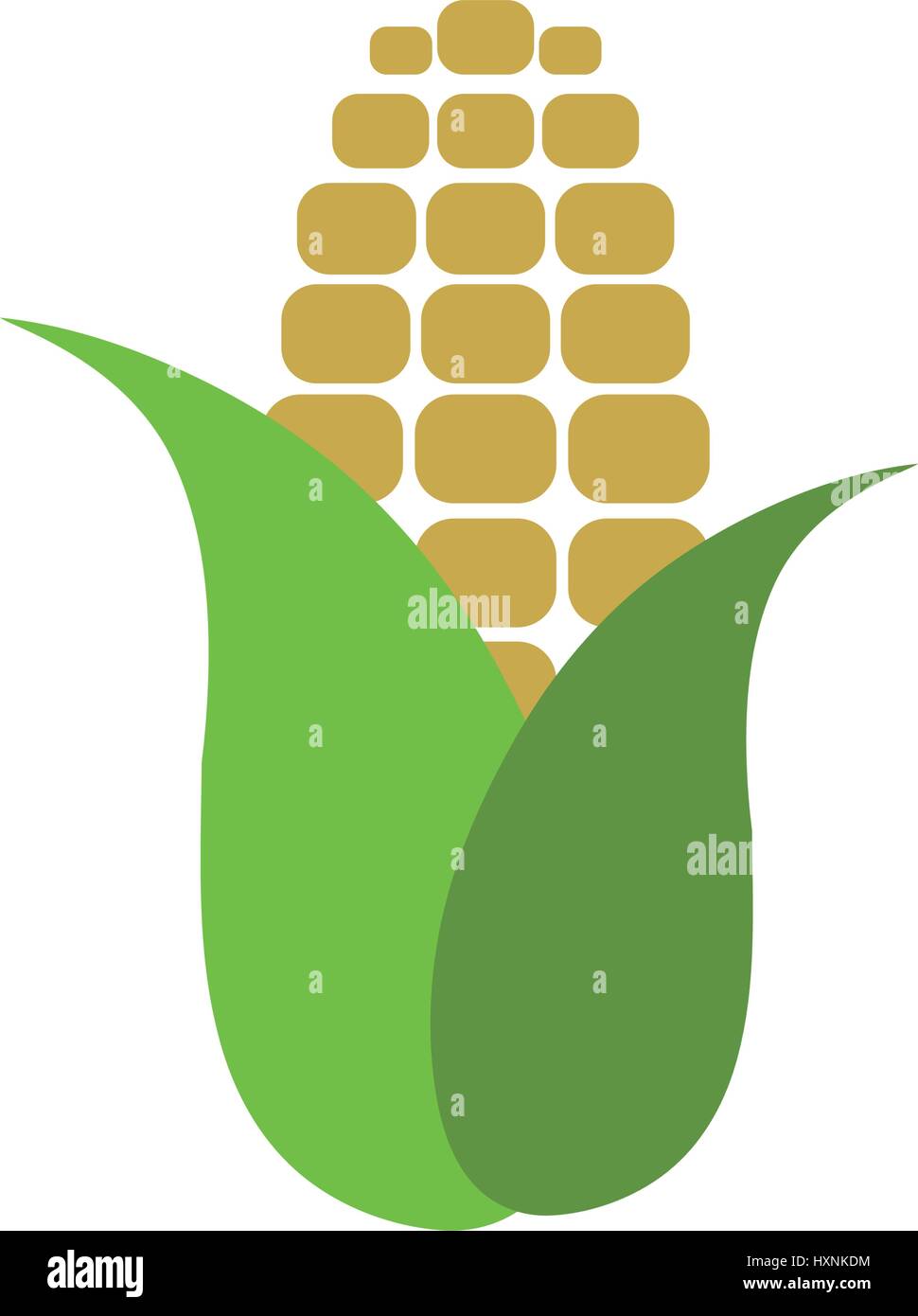 Corn farm fresh Stock Vector Image & Art - Alamy