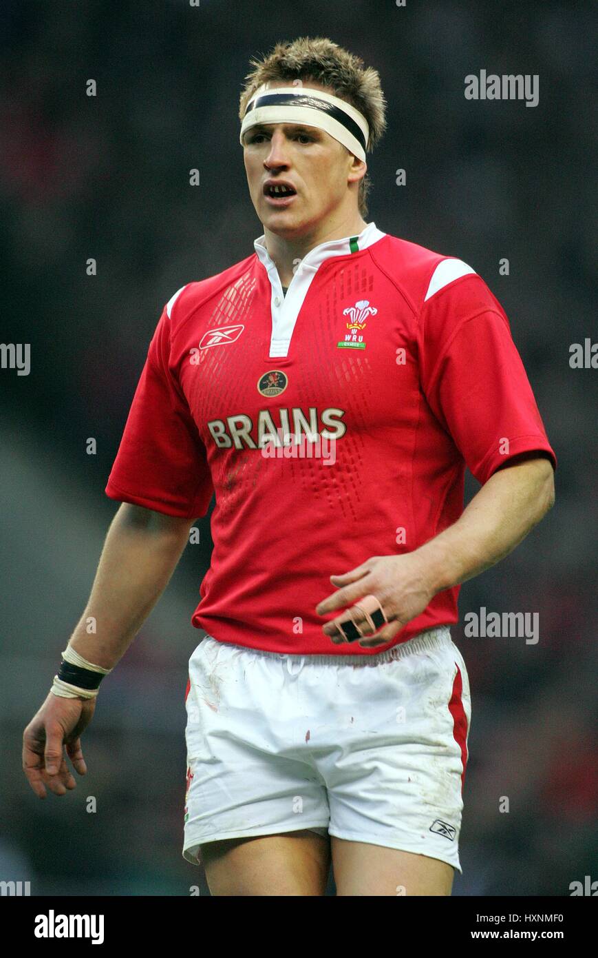 Llanelli scarlets rugby hi-res stock photography and images - Alamy