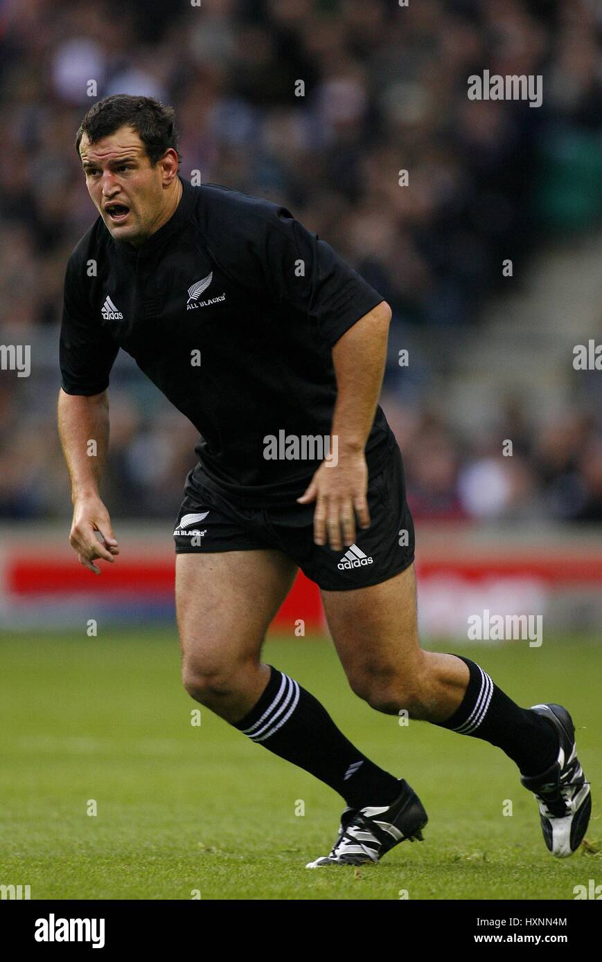 Carl hayman new zealand hi-res stock photography and images - Alamy