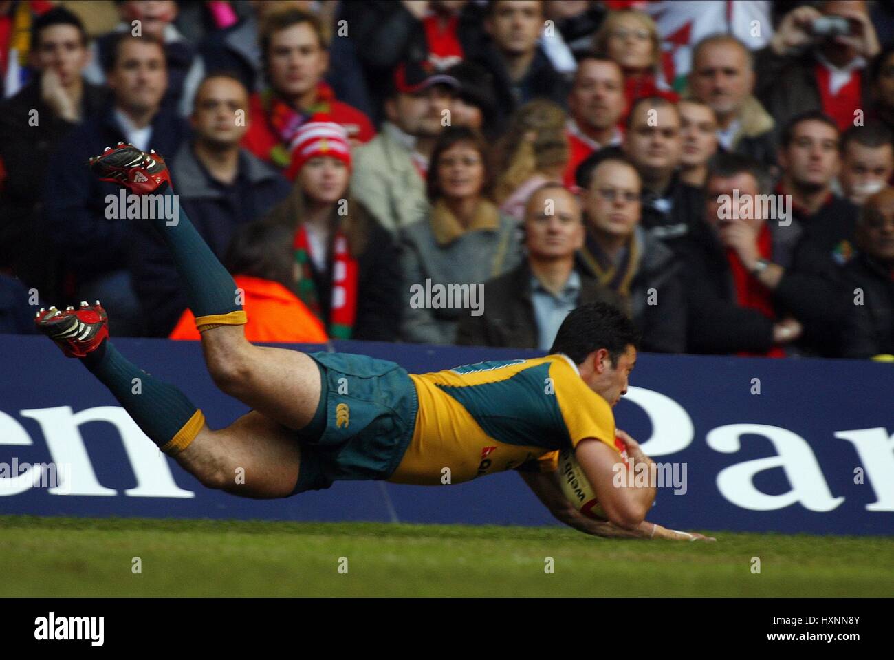 Cameron shepherd hi-res stock photography and images - Alamy