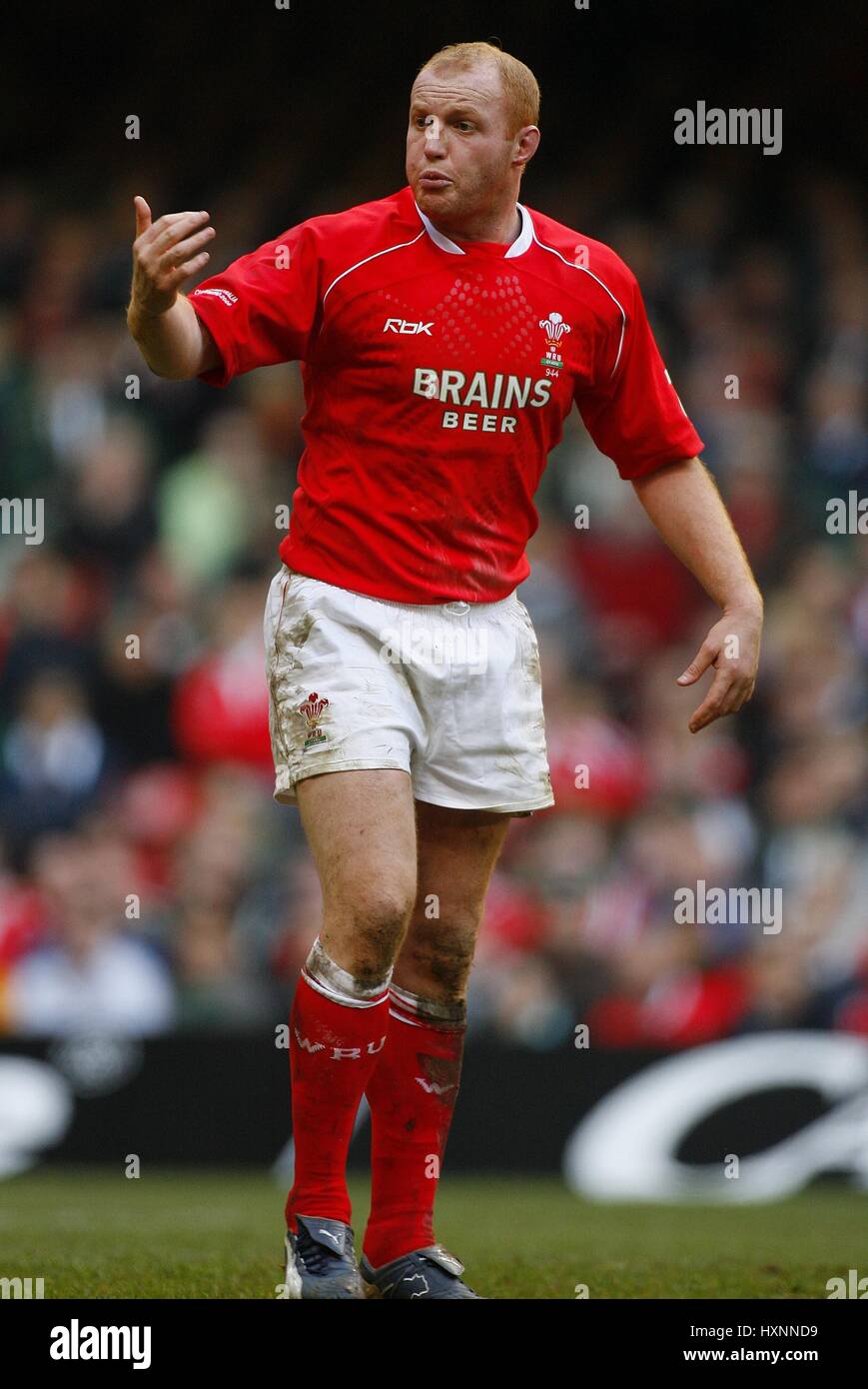 MARTYN WILLIAMS WALES & CARDIFF RU MILLENNIUM STADIUM CARDIFF WALES 04 ...