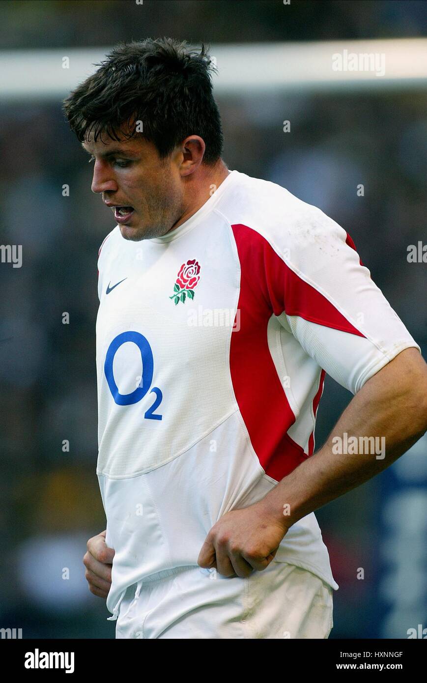 MARTIN CORRY ENGLAND V SOUTH AFRICA TWICKENHAM MIDDLESEX ENGLAND 18 ...