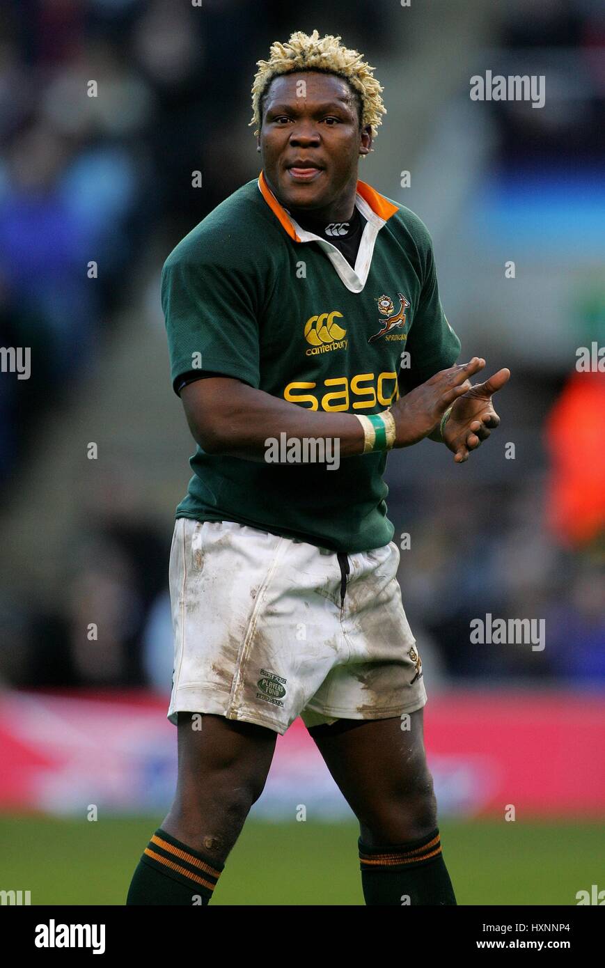KABAMBA FLOORS SOUTH AFRICA RU TWICKENHAM MIDDLESEX ENGLAND 25 November ...