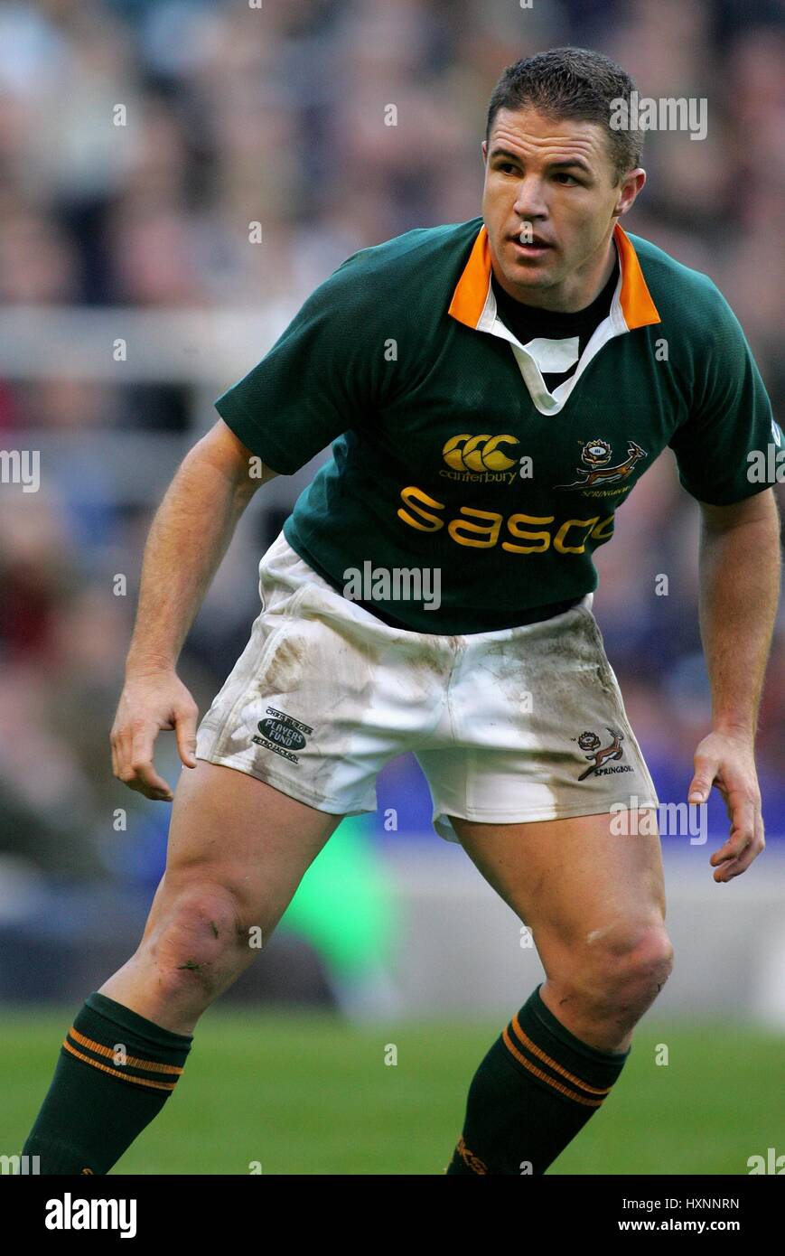 Andre Pretorius High Resolution Stock Photography and Images - Alamy