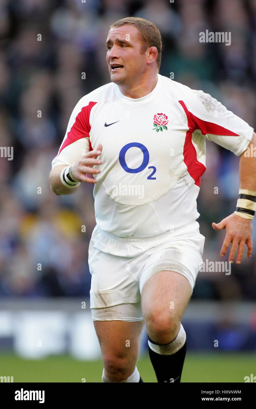 Phil vickery rugby hi-res stock photography and images - Alamy