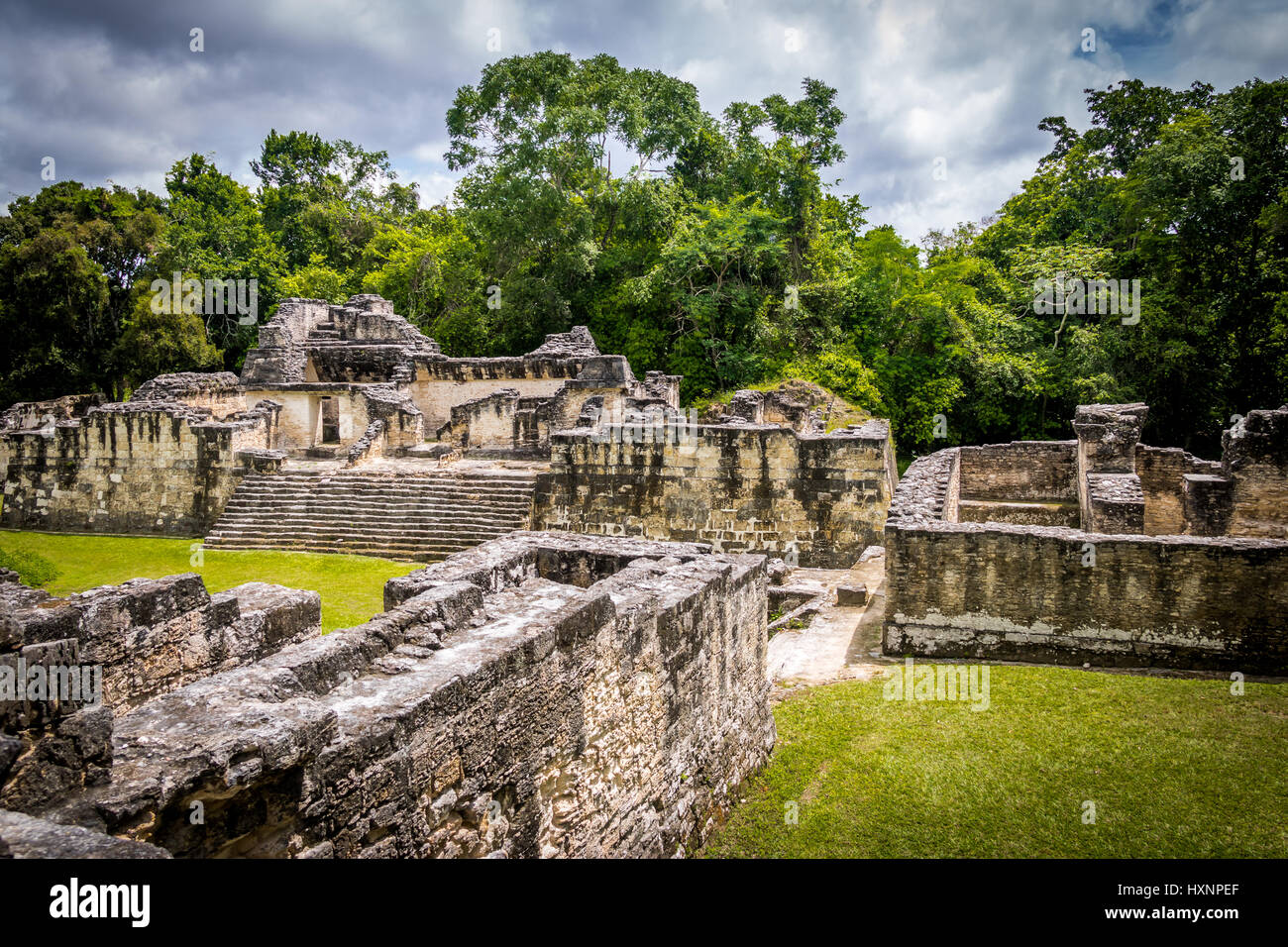 Mayan Acropolis at Tikal National Park - Guatemala Stock Photo - Alamy