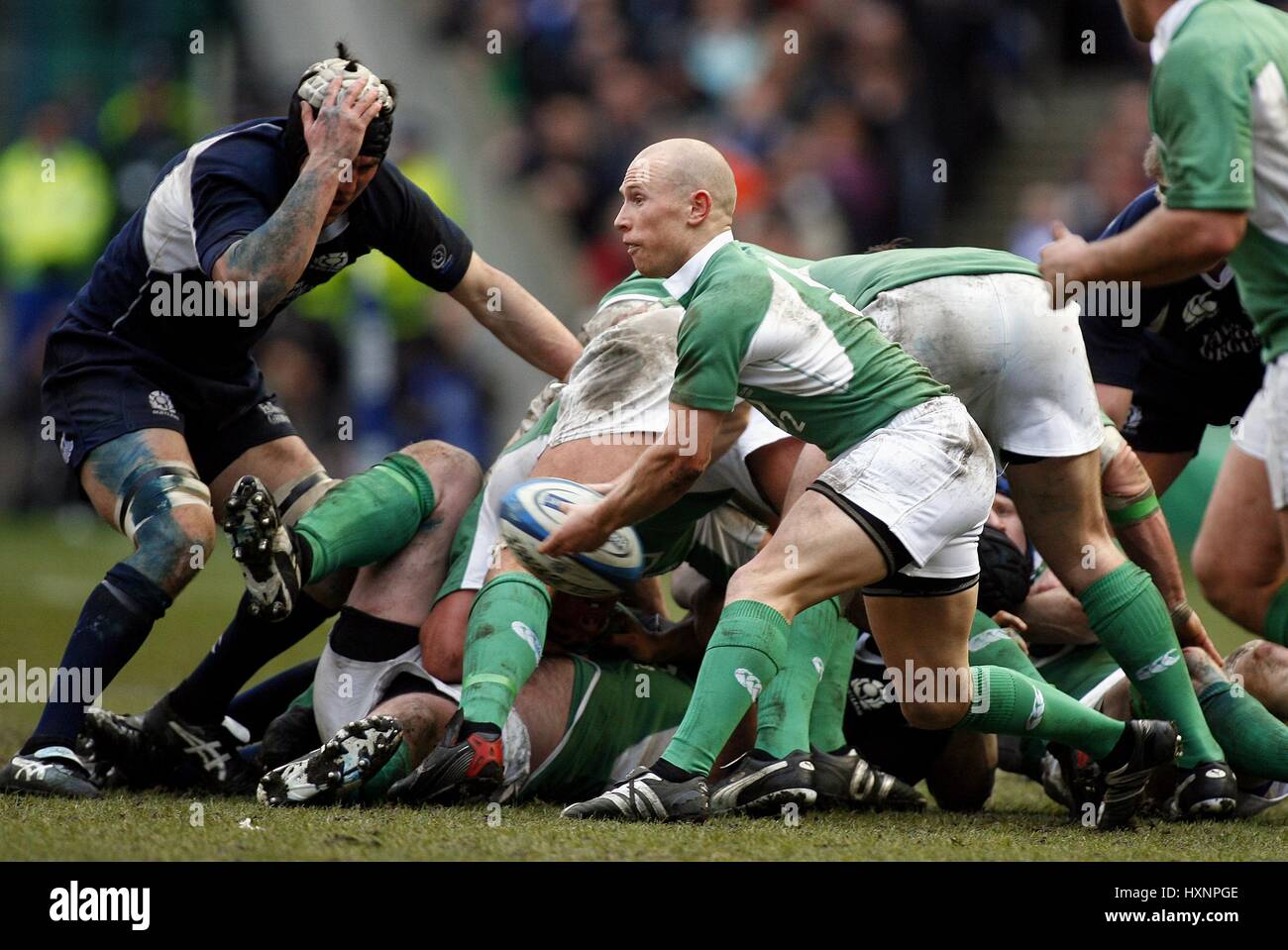 PETER STRINGER SCOTLAND V IRELAND MURRAYFIELD EDINBURGH SCOTLAND 10 ...