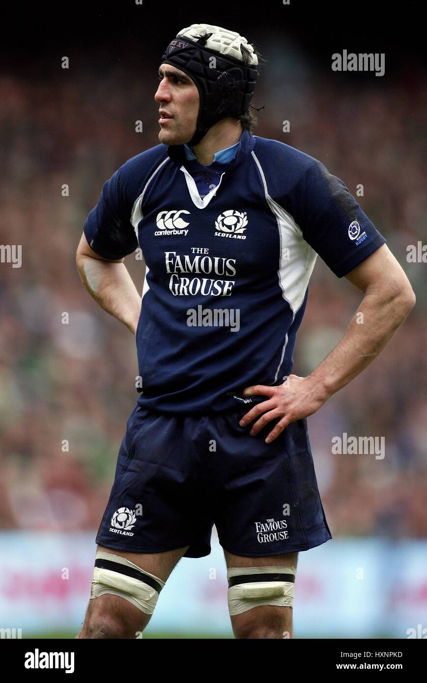 SIMON TAYLOR SCOTLAND & EDINBURGH RUGBY MURRAYFIELD EDINBURGH SCOTLAND ...