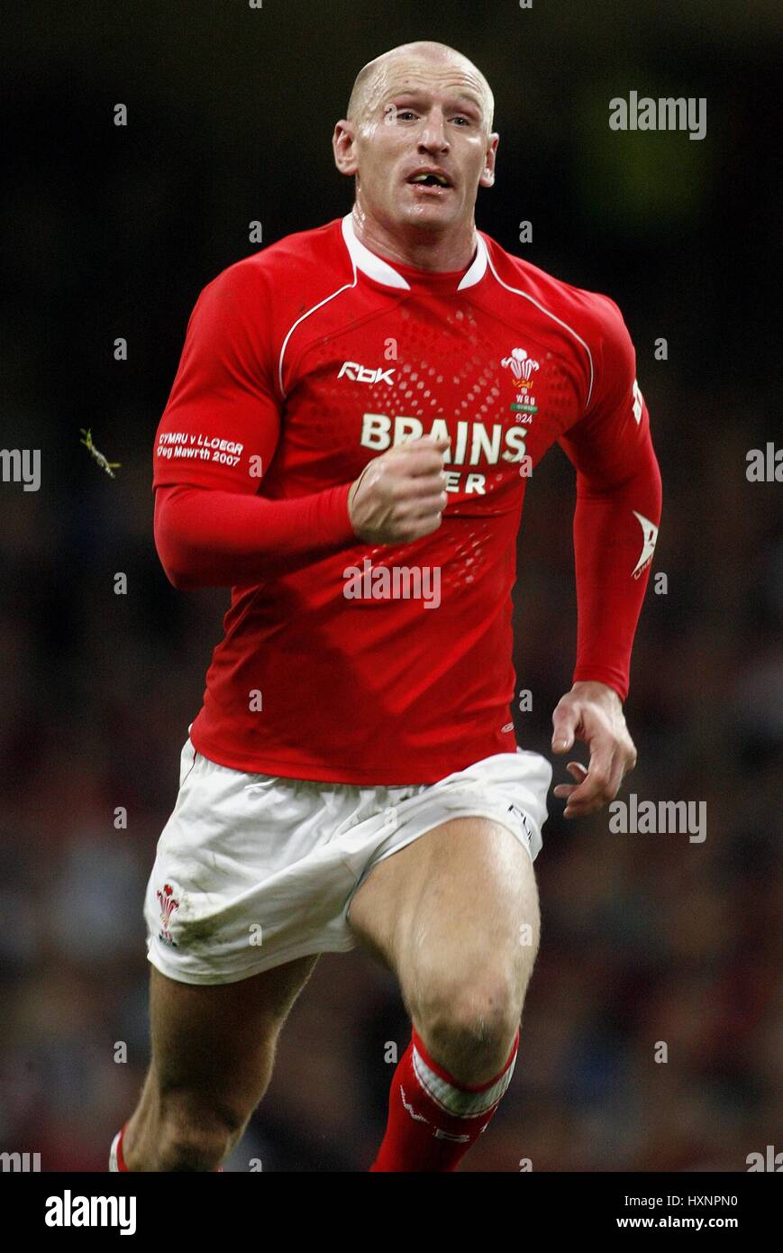 Toulouse stadium hi-res stock photography and images - Alamy