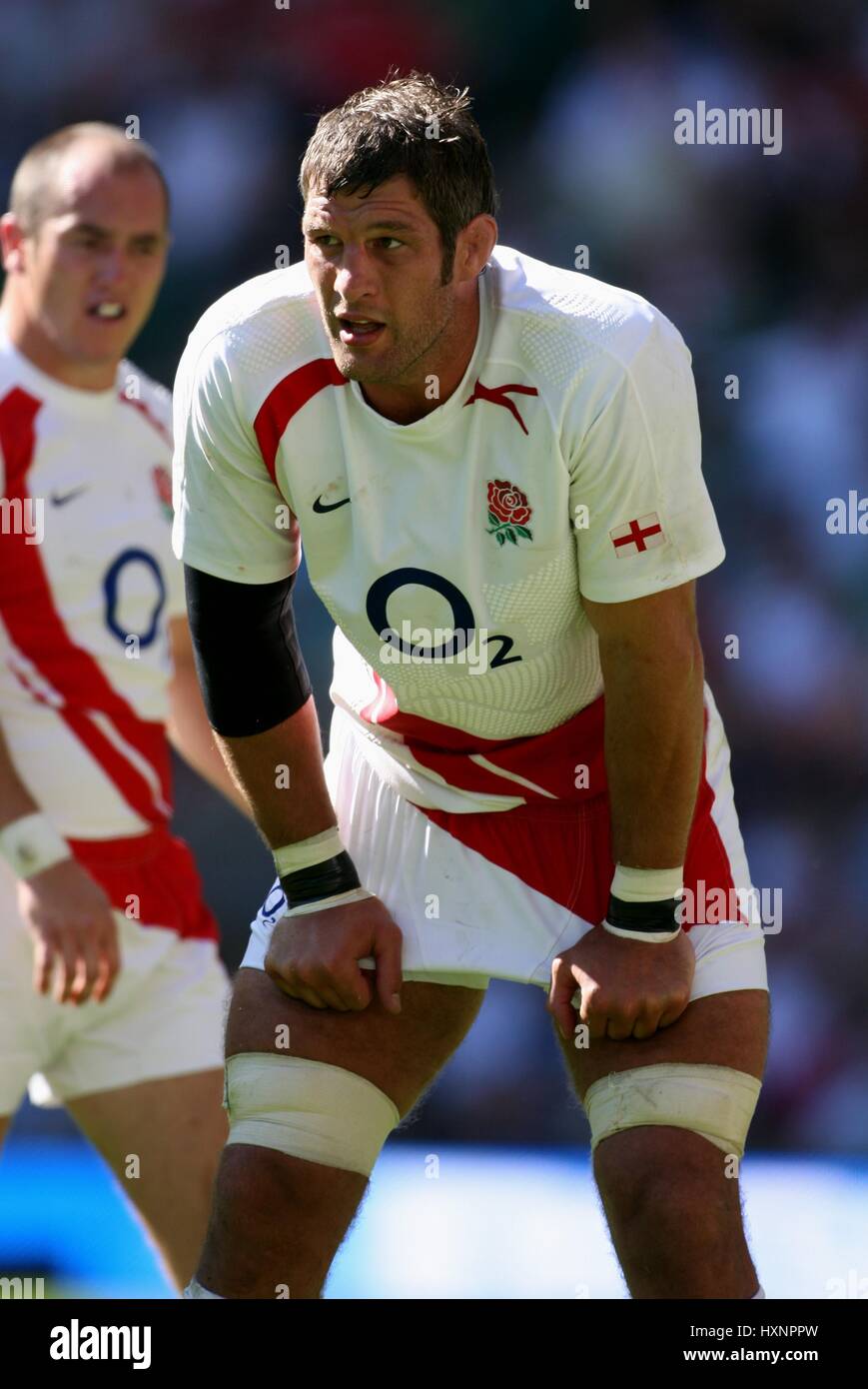 Simon shaw wasps hi-res stock photography and images - Alamy