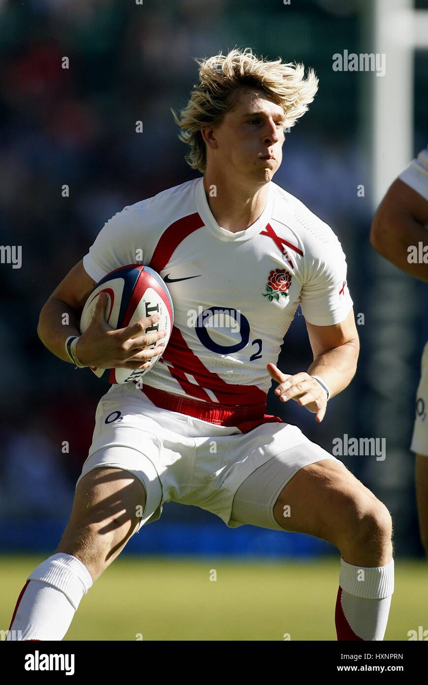 Harlequins hi-res stock photography and images - Alamy