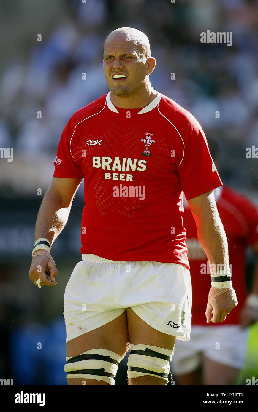 James wales hi-res stock photography and images - Alamy